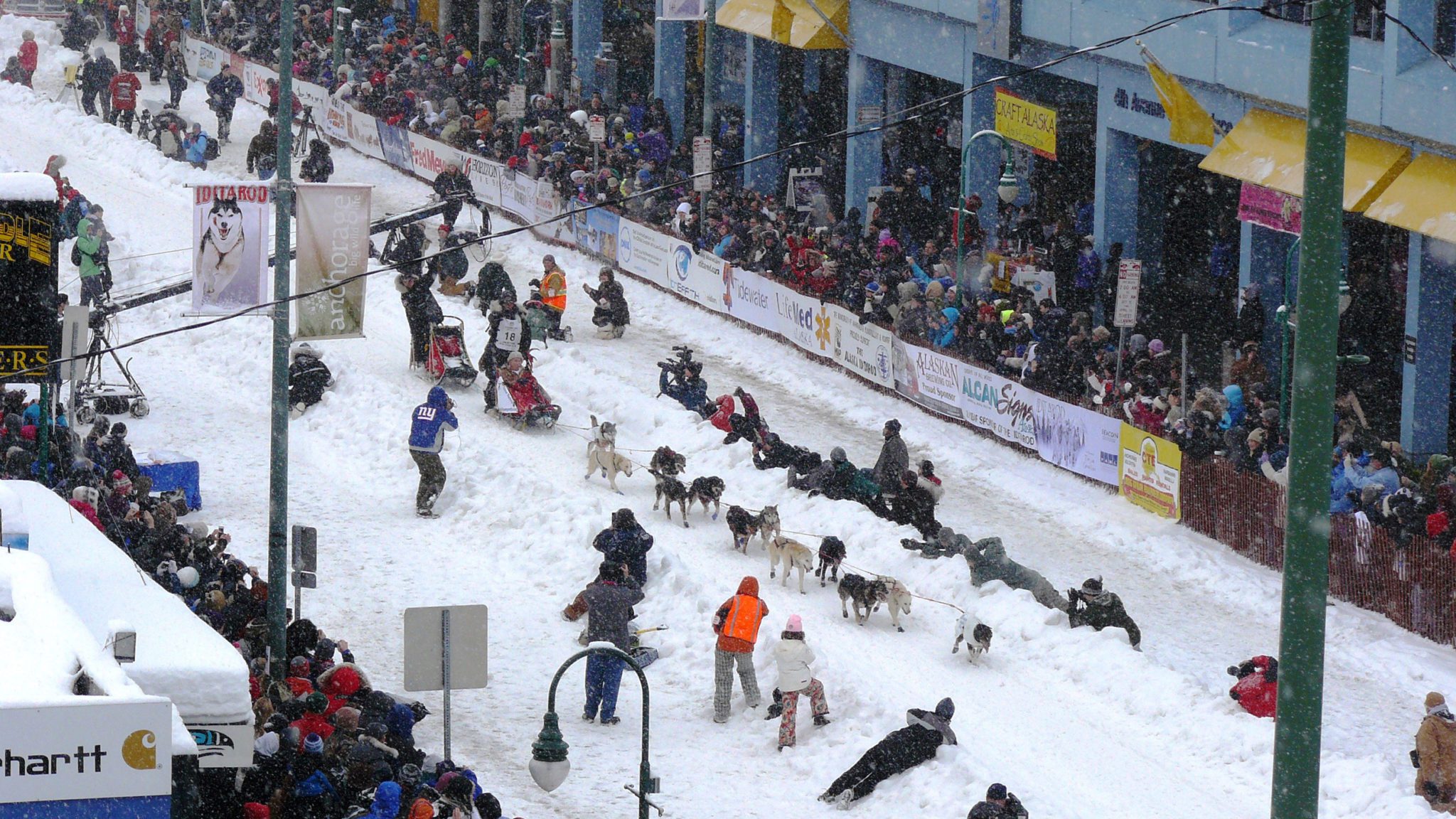 Three Unbelievable Facts About Alaska's Iditarod Race | Alaska Tours