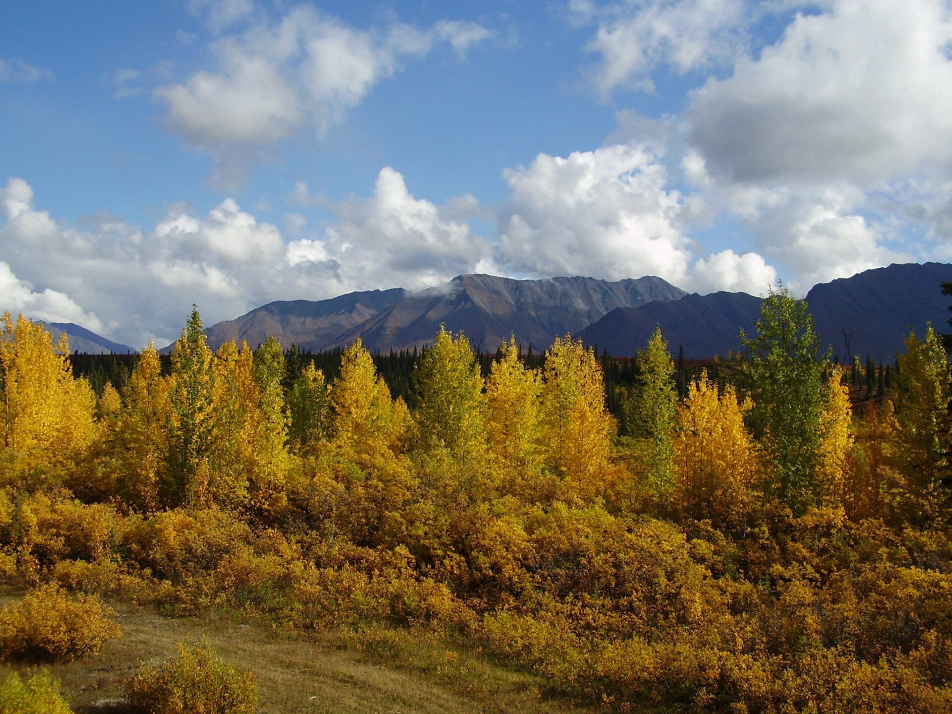 Romantic Getaways to Alaska : Fall in Love In Alaska