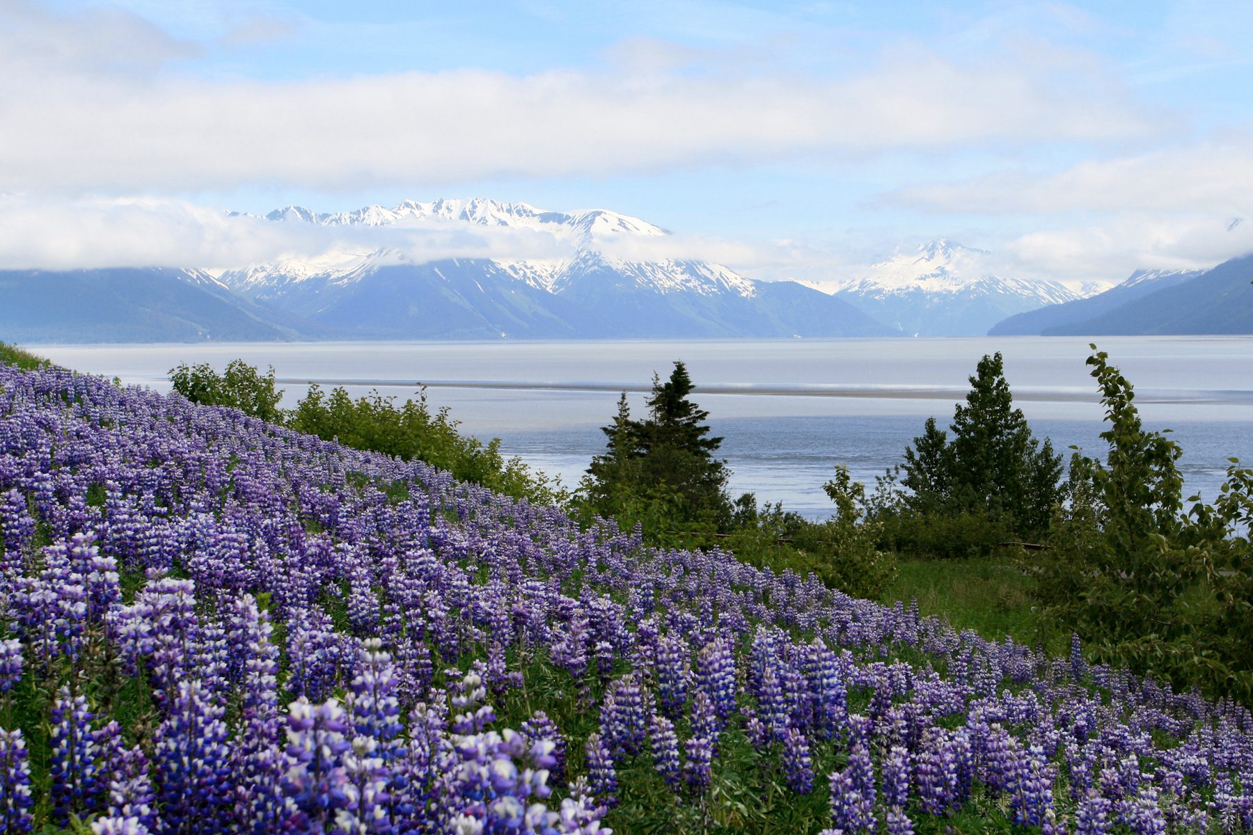 Things to do in Anchorage, Alaska | Alaska Tours