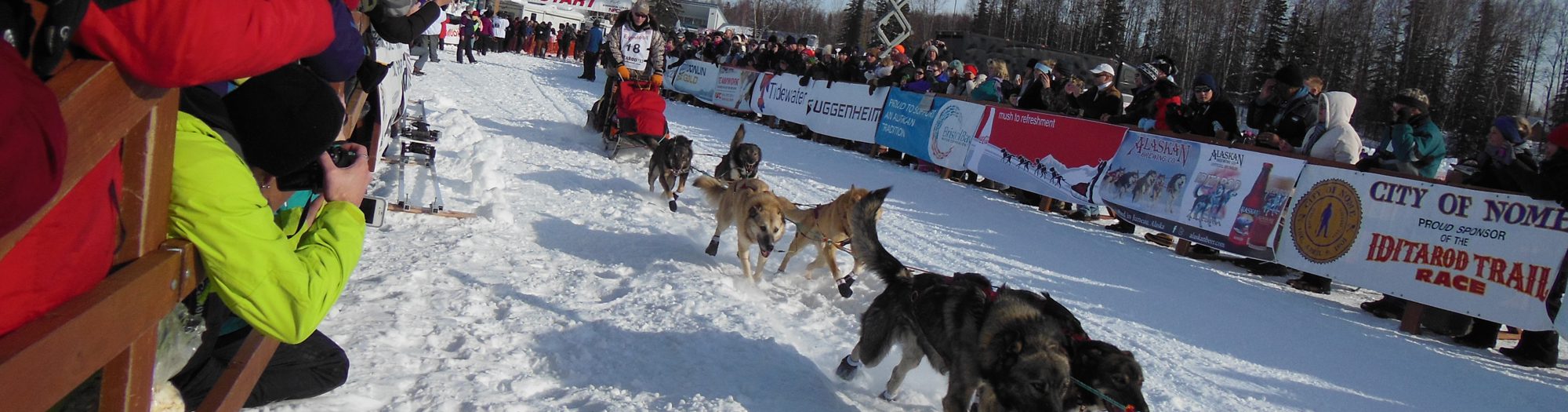 Anchorage Alaska Winter Tours | Iditarod, Northern Lights, Outdoor Fun