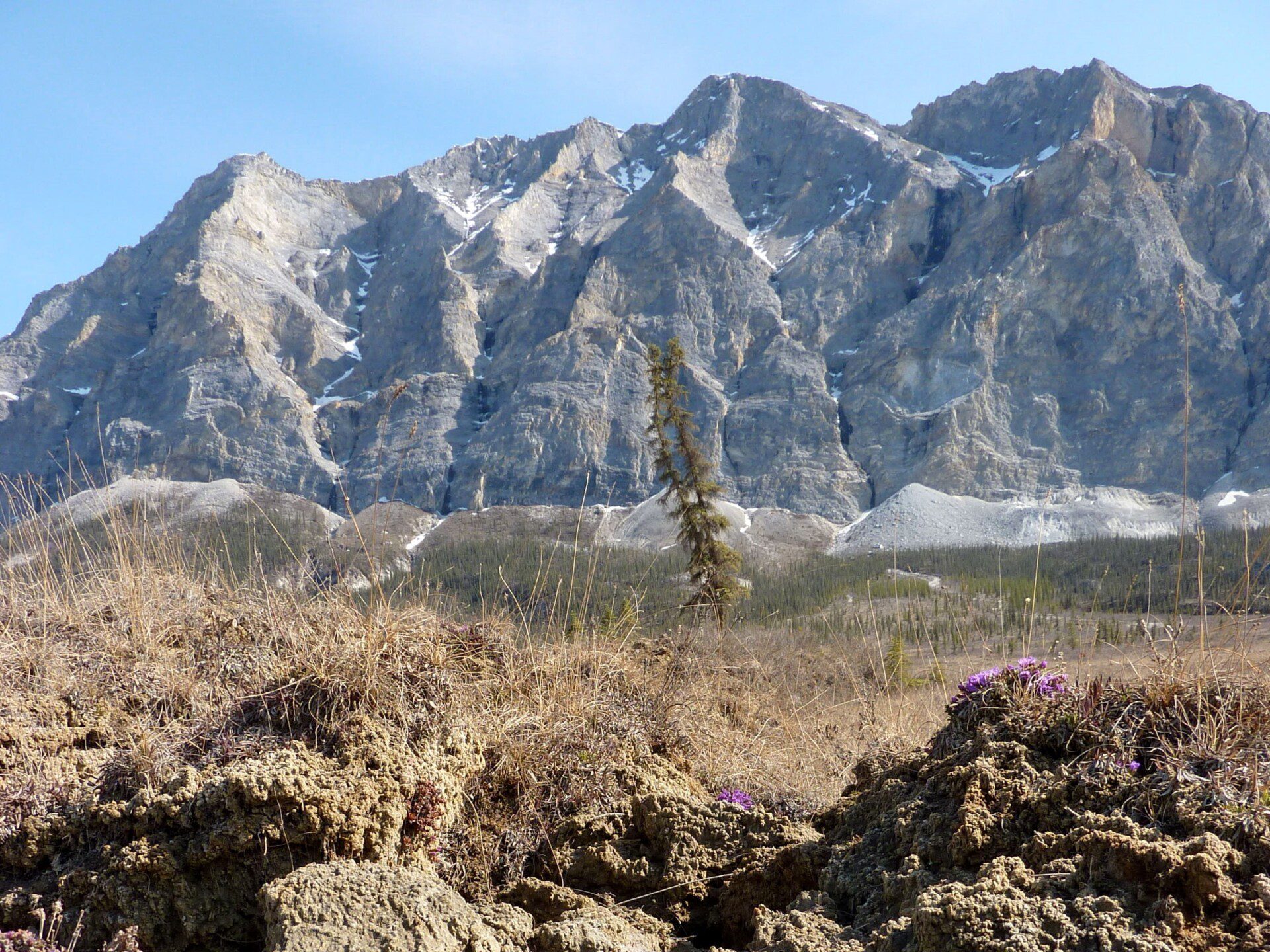 All About the Arctic National Wildlife Refuge ANWR | Alaska Facts & Trivia