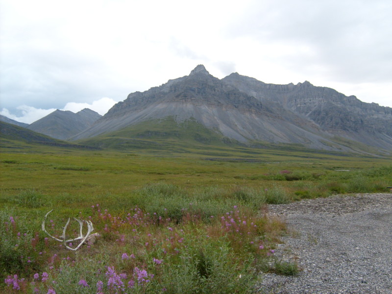 Alaska's Brooks Range | Arctic Region | About the Brooks Range, Alaska