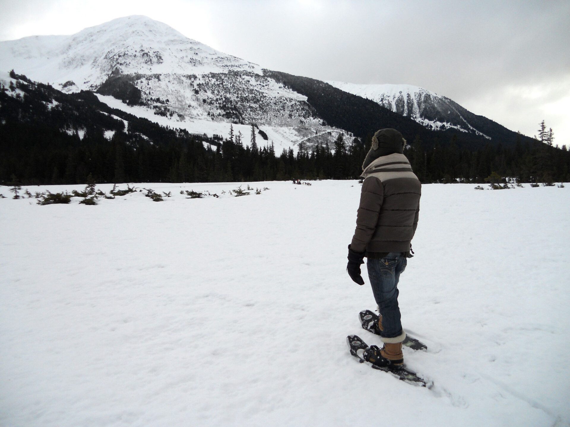 Alaska Winter Adventure Tours | Winter Sports, Northern Lights ...