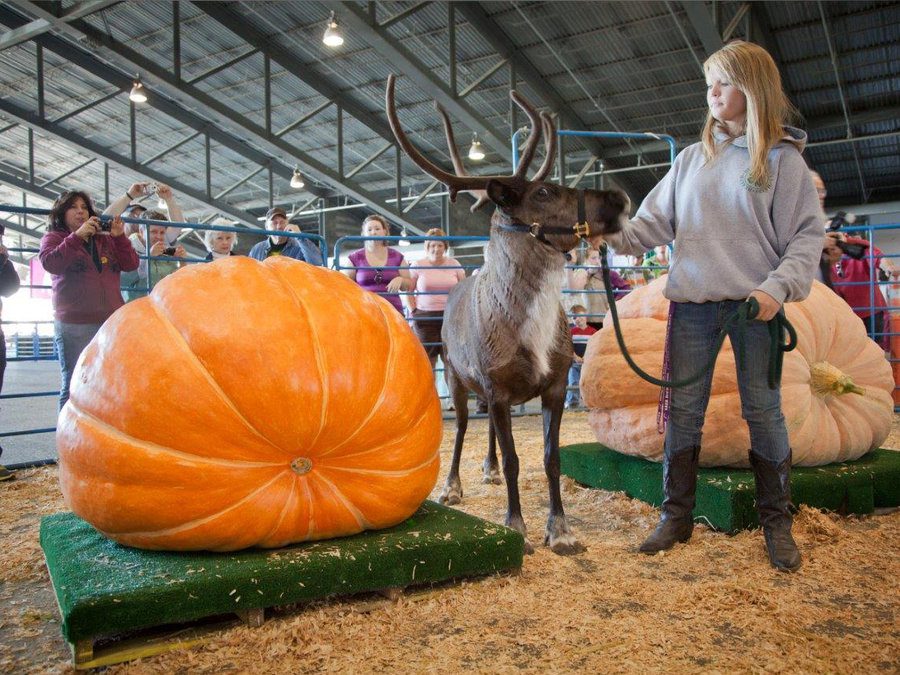 Alaska Bizarre Claims to Fame | Alaska Trivia | Alaska Fun Facts