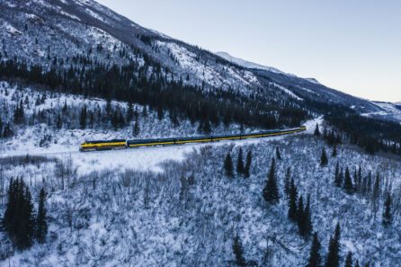 Beyond Belief: Why Visit Alaska This Winter? - Alaska Tours