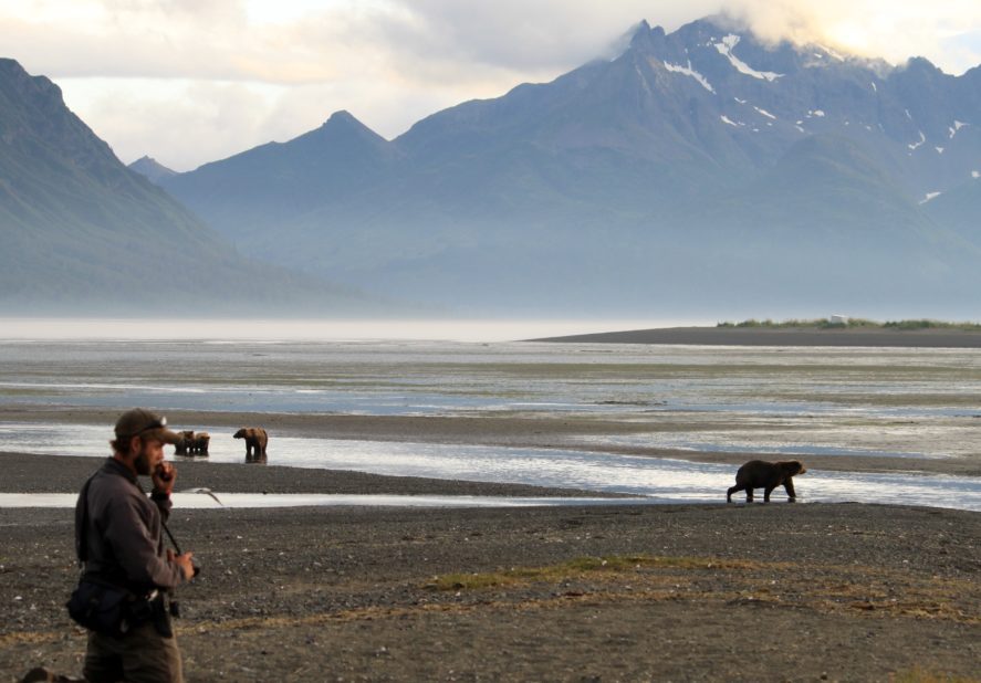 Anchorage Bear Viewing Day Tour | Lake Clark National Park | Chinitna Bay