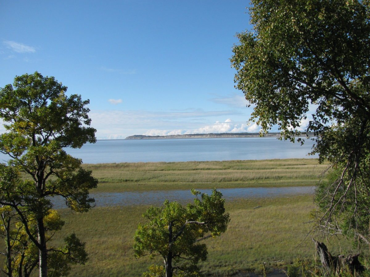 Hiking Anchorage Alaska's Coastal Trial | Tips, Places of Interest in ...