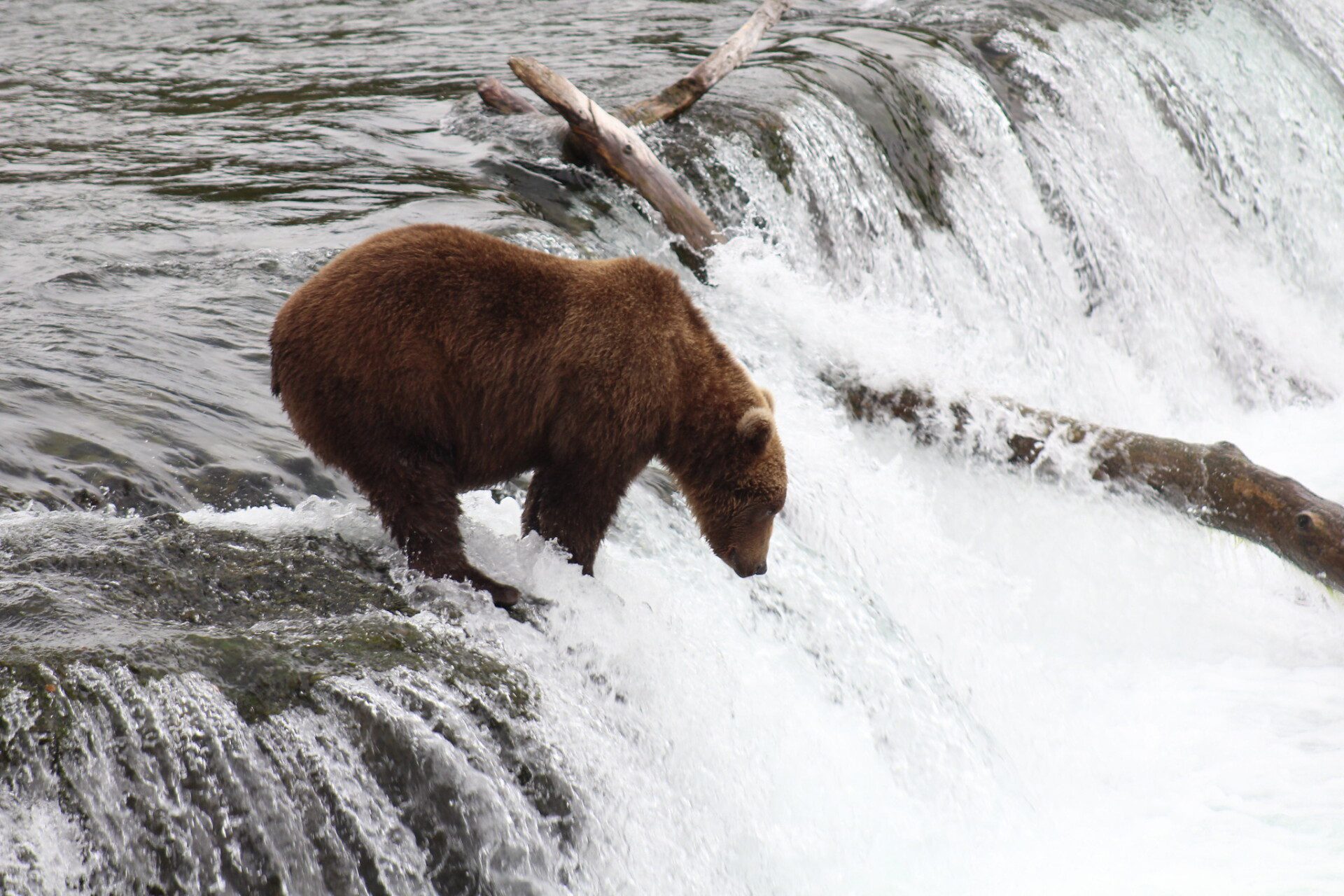 Top 10 Best Alaska Highlights for 2019 | Best Alaska Tours & Vacation Fun
