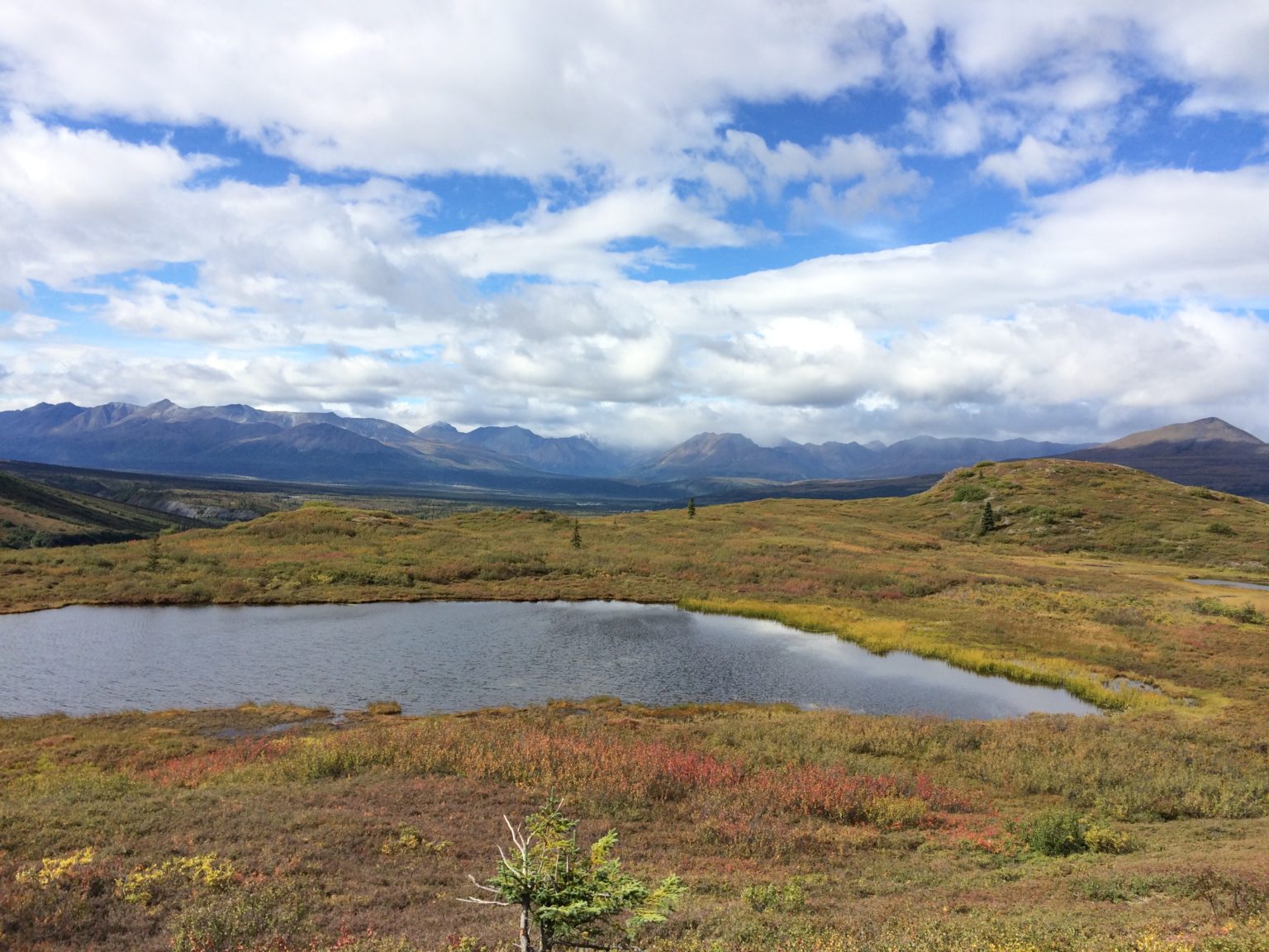 Alaska Tour; Alaska Vacation; Glacier Bay, Denali National Parks