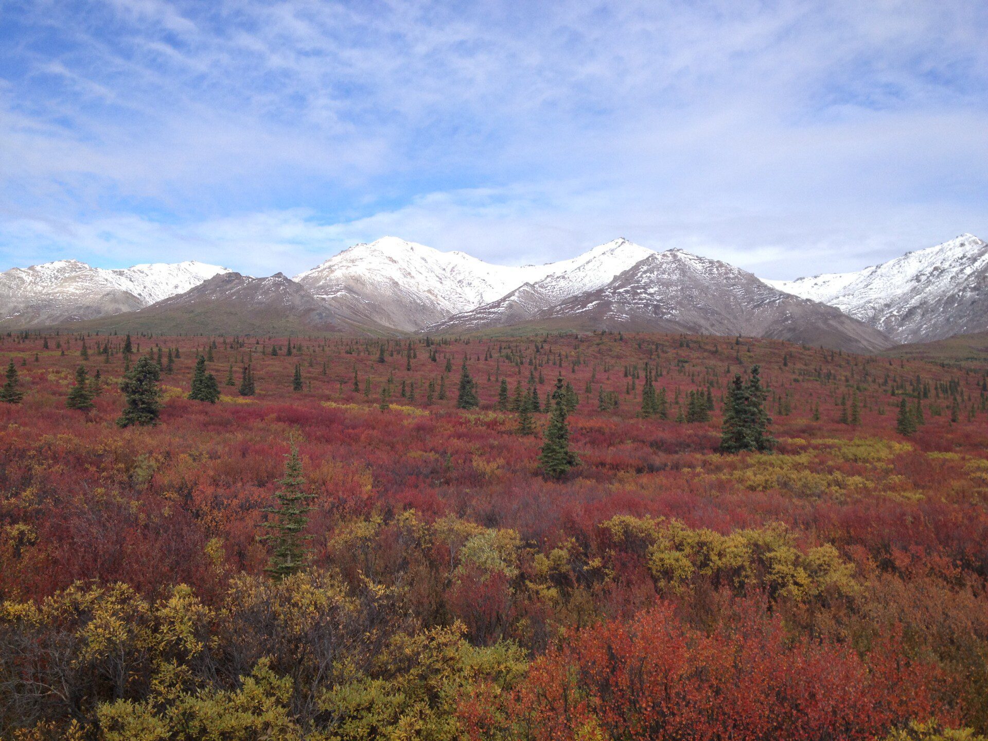 25 Fun Facts & Trivia About Alaska | Did You Know? | Alaska Fun Factoids