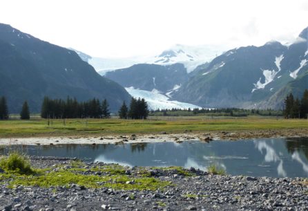 Alaska's Ecosystems: Glaciers, Tundra, Taiga & More | Alaska Tours
