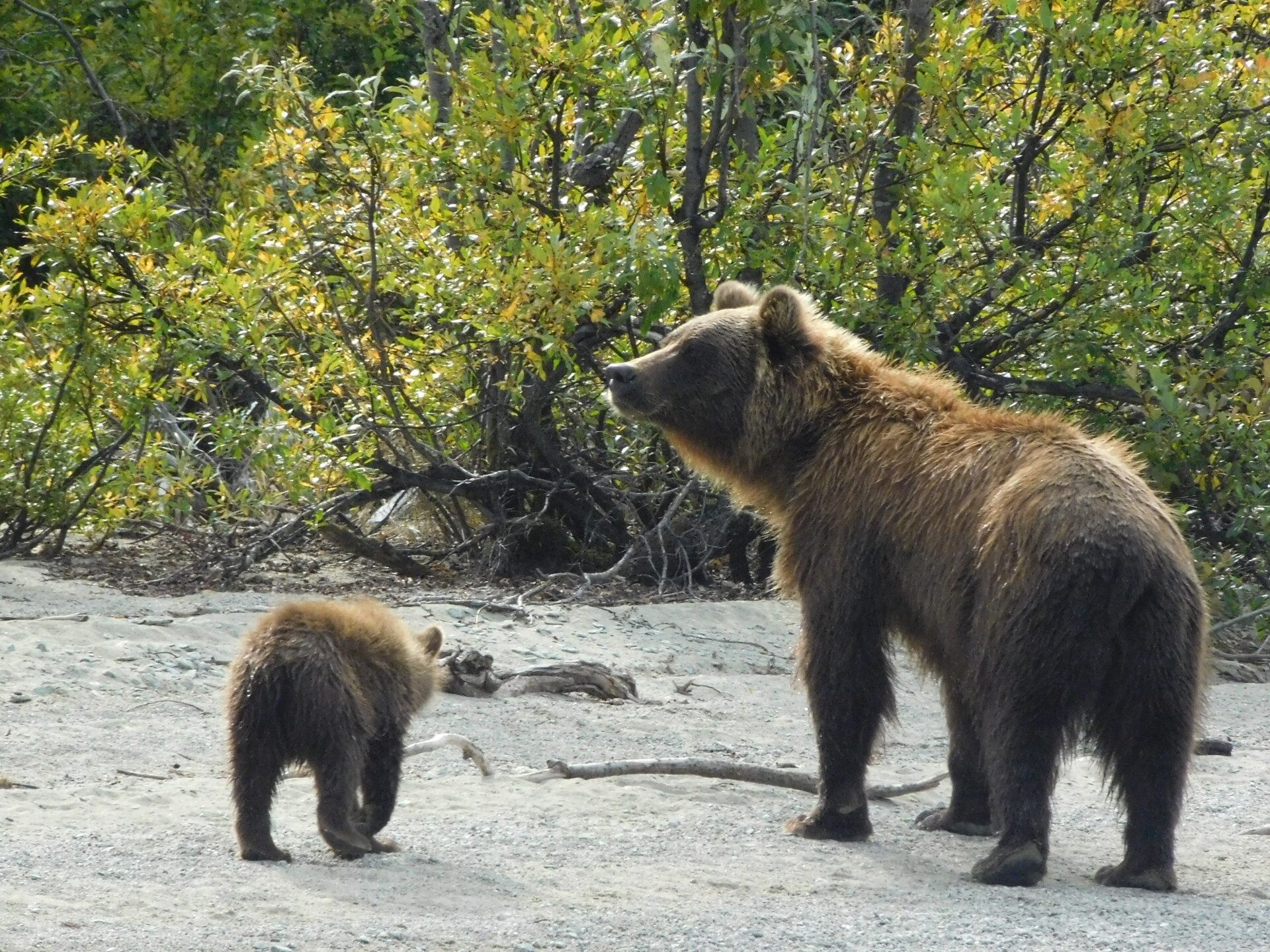 Lake Clark National Park Tours in Alaska | Alaska Luxury Lodge Stays