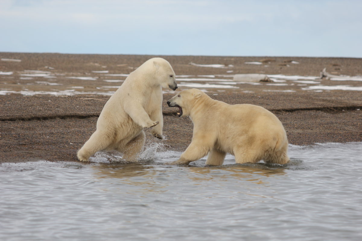 25 Fun Facts & Trivia About Alaska | Did You Know? | Alaska Fun Factoids