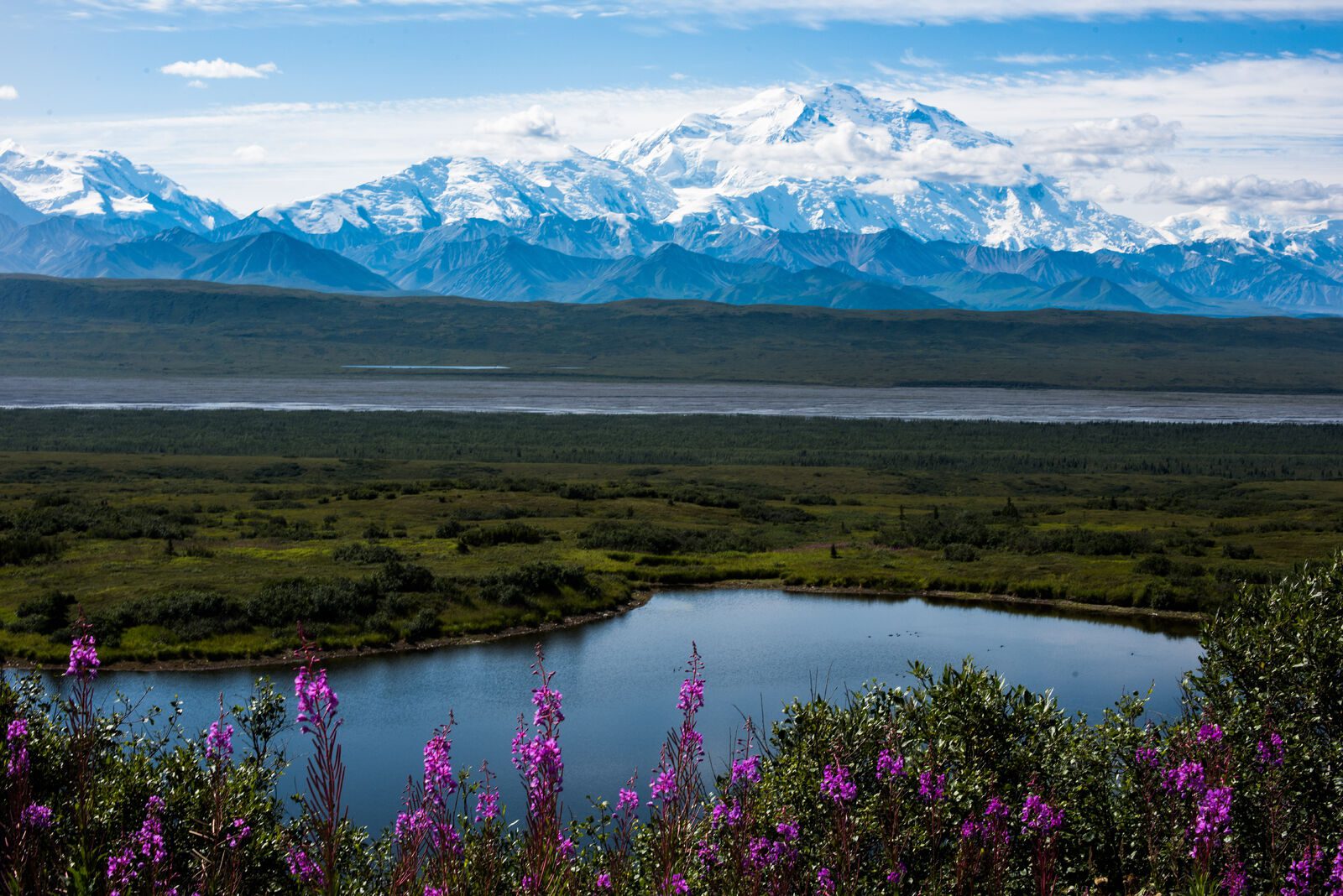 Alaska's Ecosystems: Glaciers, Tundra, Taiga & More | Alaska Tours