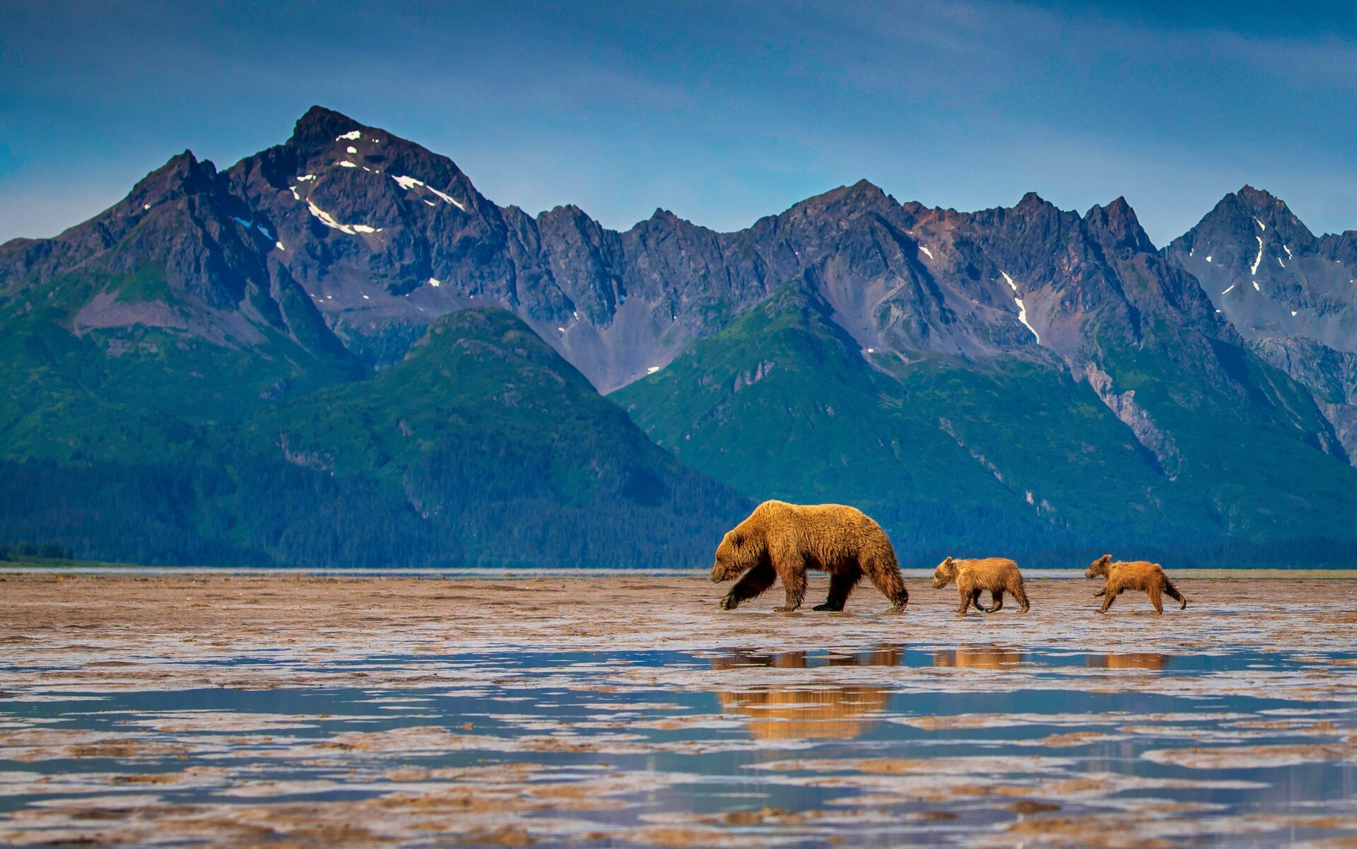 Best of Alaska's Hidden Gems | Off the Beaten Path Adventures in Alaska