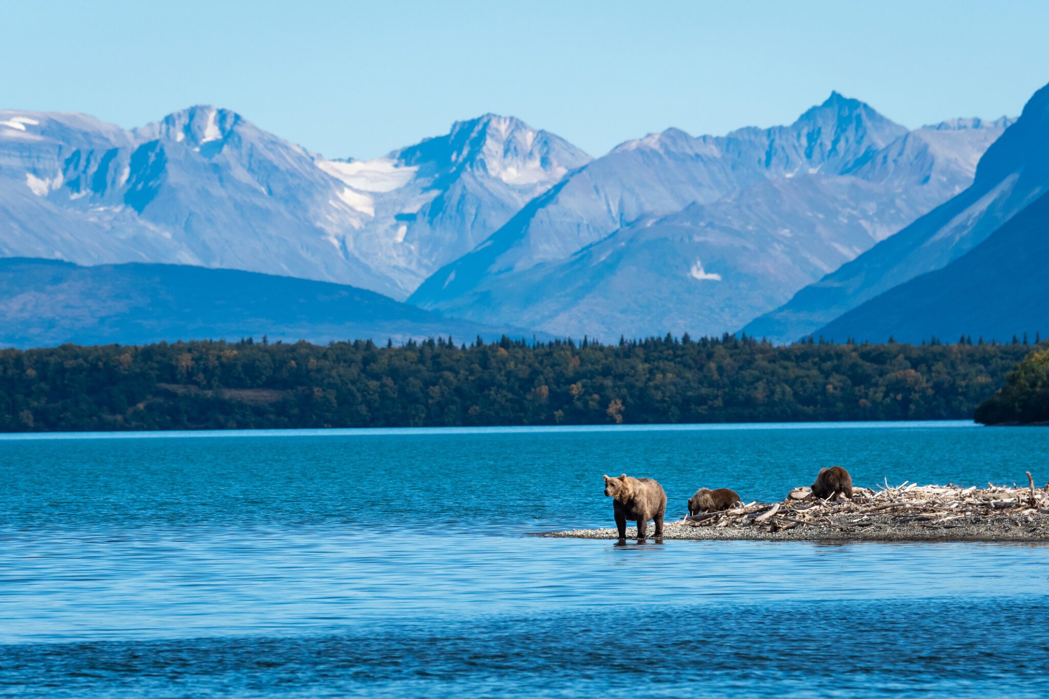 Katmai National Park Vacations | Alaska Bear Viewing Tours & Day Trips