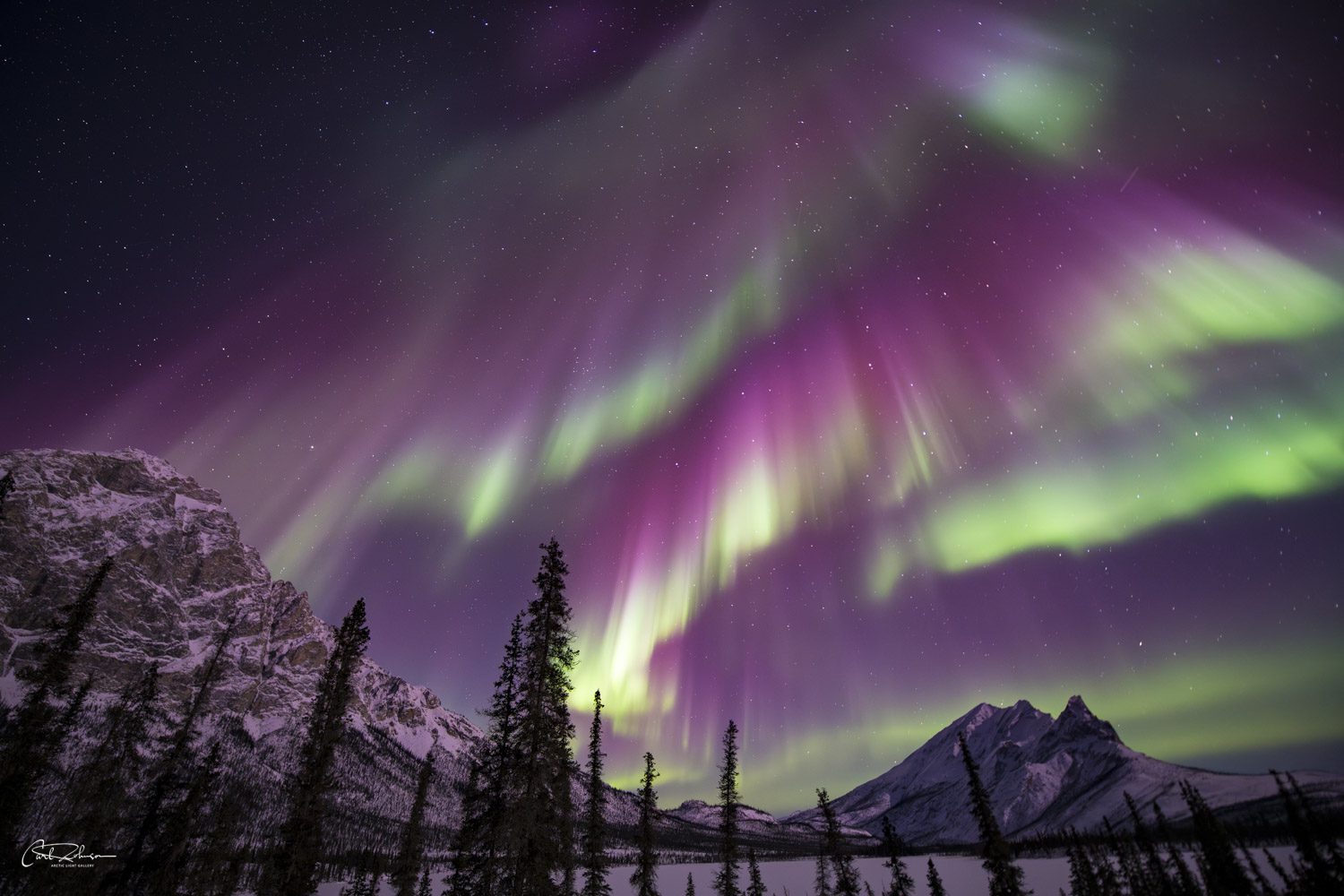 Spotlight on Northern Lights Photographers in Alaska - Alaska Tours