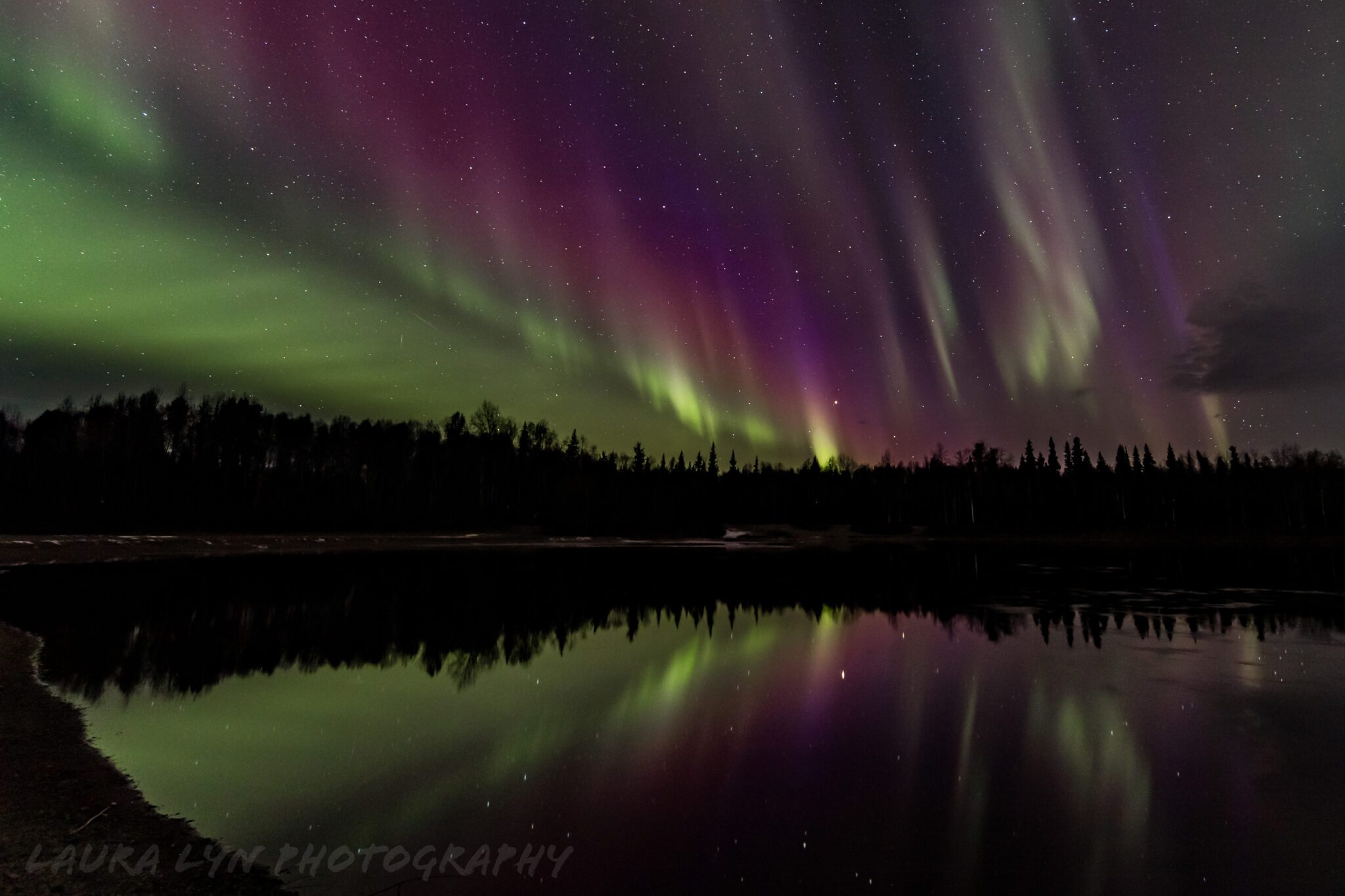 Spotlight on Northern Lights Photographers in Alaska - Alaska Tours