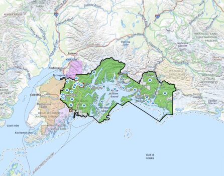 Chugach National Forest Tours in Alaska | Glaciers, Hiking, Wildlife